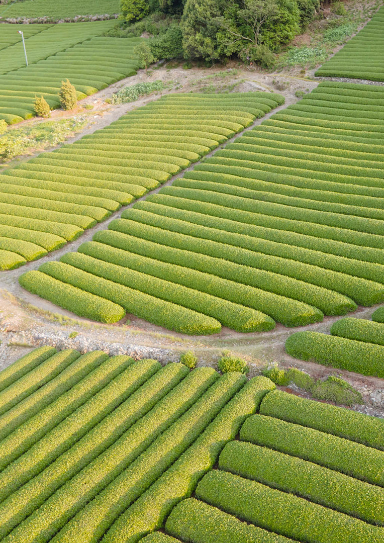 IMA KYOTO